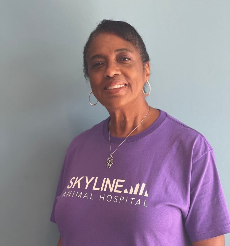 Houston, TX 77004 Veterinarians | Skyline Animal Hospital